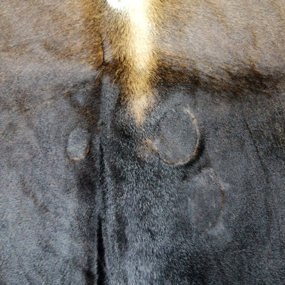 African Nguni Cowhide Rug – Sanga Collection
